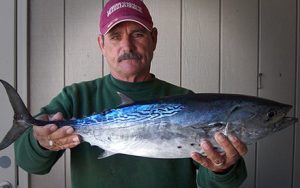 Apache Pier – Apache Family Campground & Pier